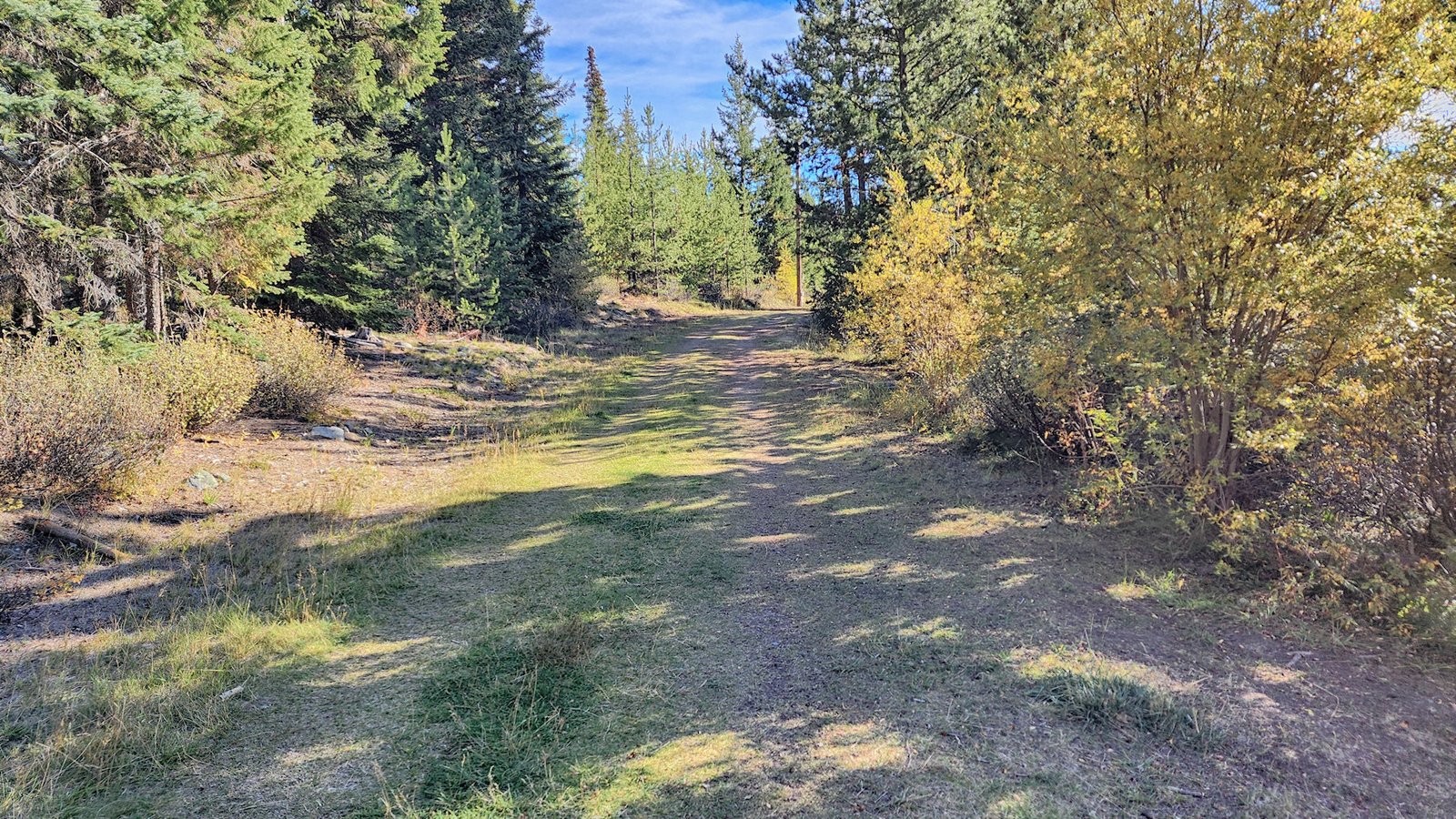 On the Stake Lake Trails in October - Wildflower Journal